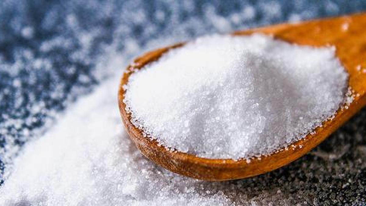 Worth its salt - The Hindu