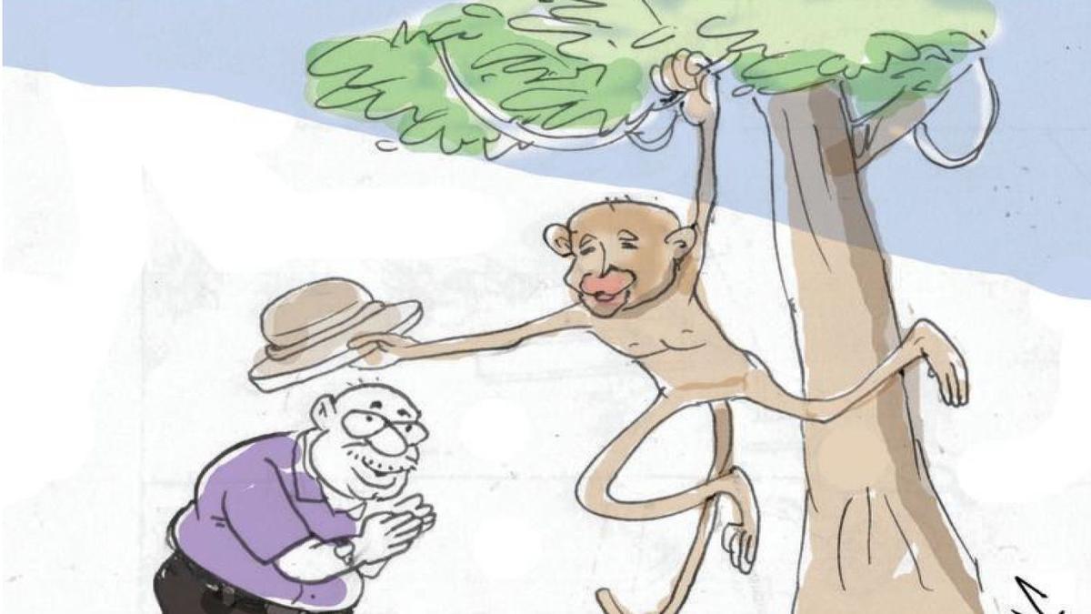 Gandhi caps, and more - The Hindu