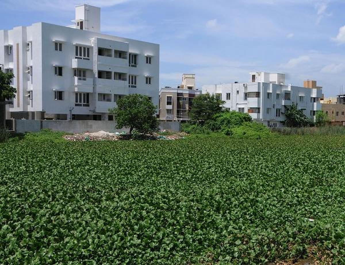 The applicability of OSR - The Hindu