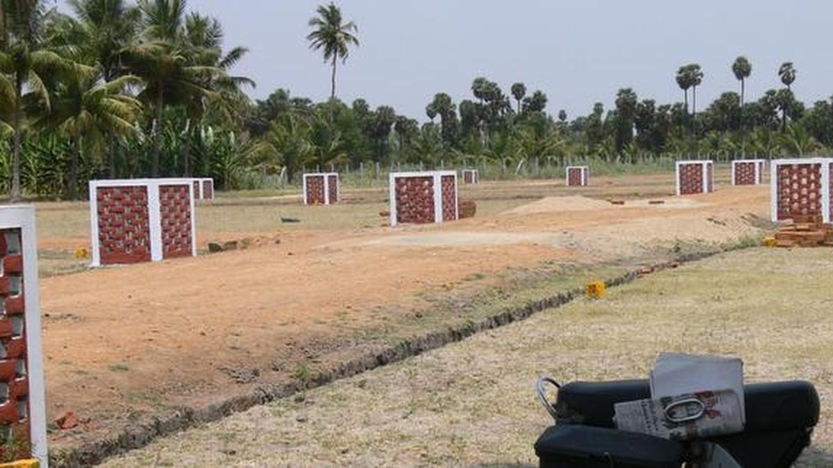 Altering a patta - The Hindu