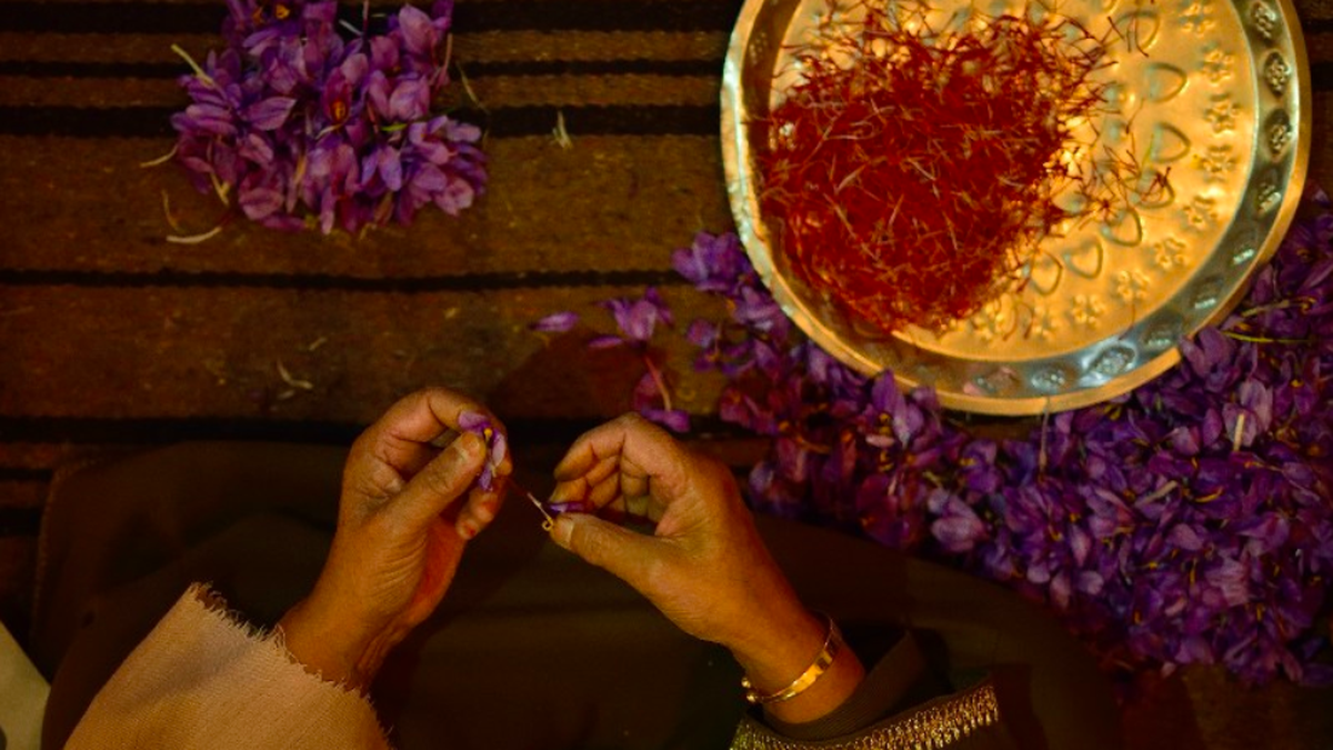 Kashmir Saffron gets GI tag - The Hindu