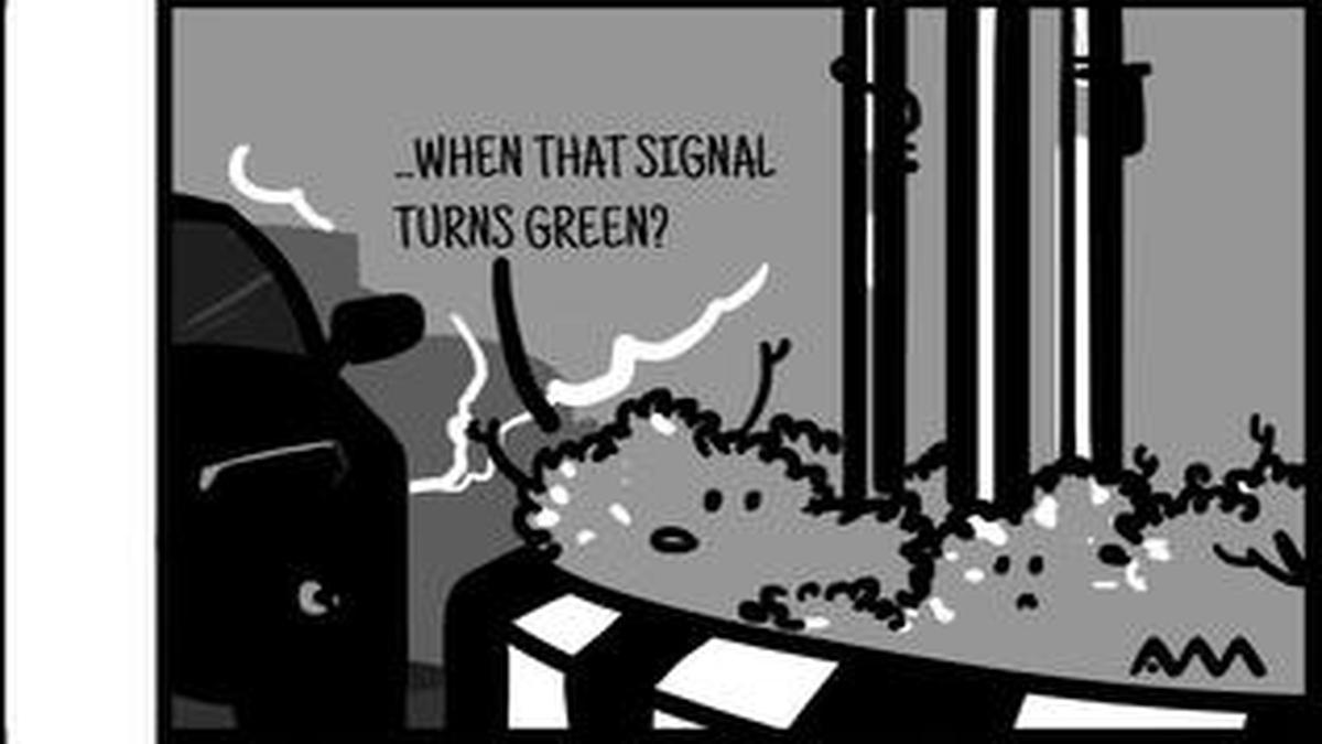 Ecotism by Ashvini Menon - The Hindu