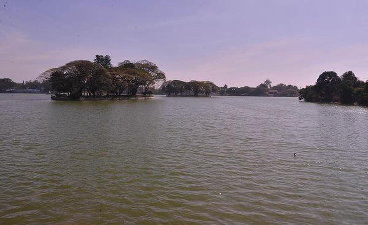 Panel to study Ulsoor lake pollution - The Hindu