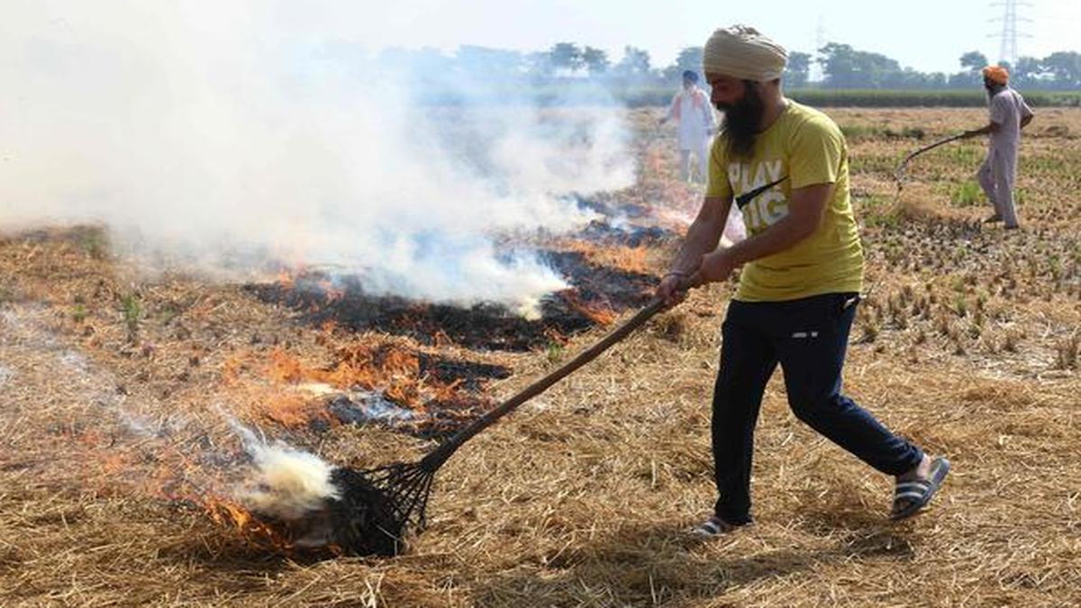 India occupies top spot globally in emissions related to crop burning ...