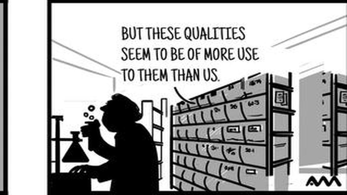 Ecotism by Ashvini Menon - The Hindu