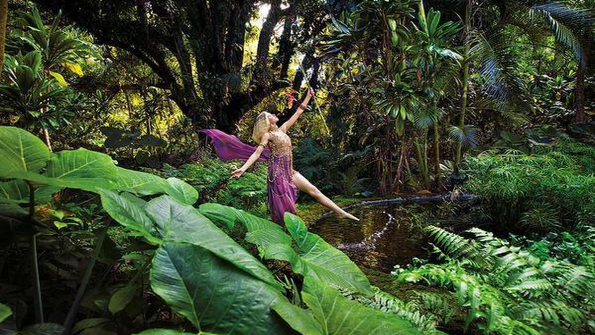 New calendar imagines a ‘world without climate change’ - The Hindu