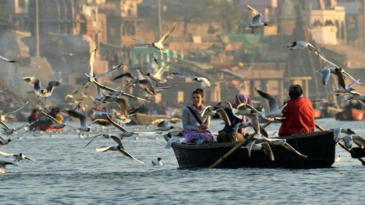 Can the Ganga have human rights? - The Hindu