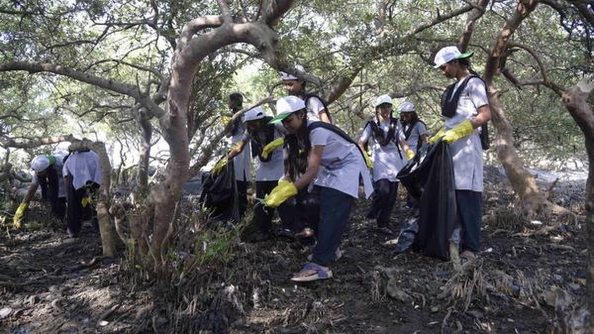 Ten ways to observe World Earth Day - The Hindu