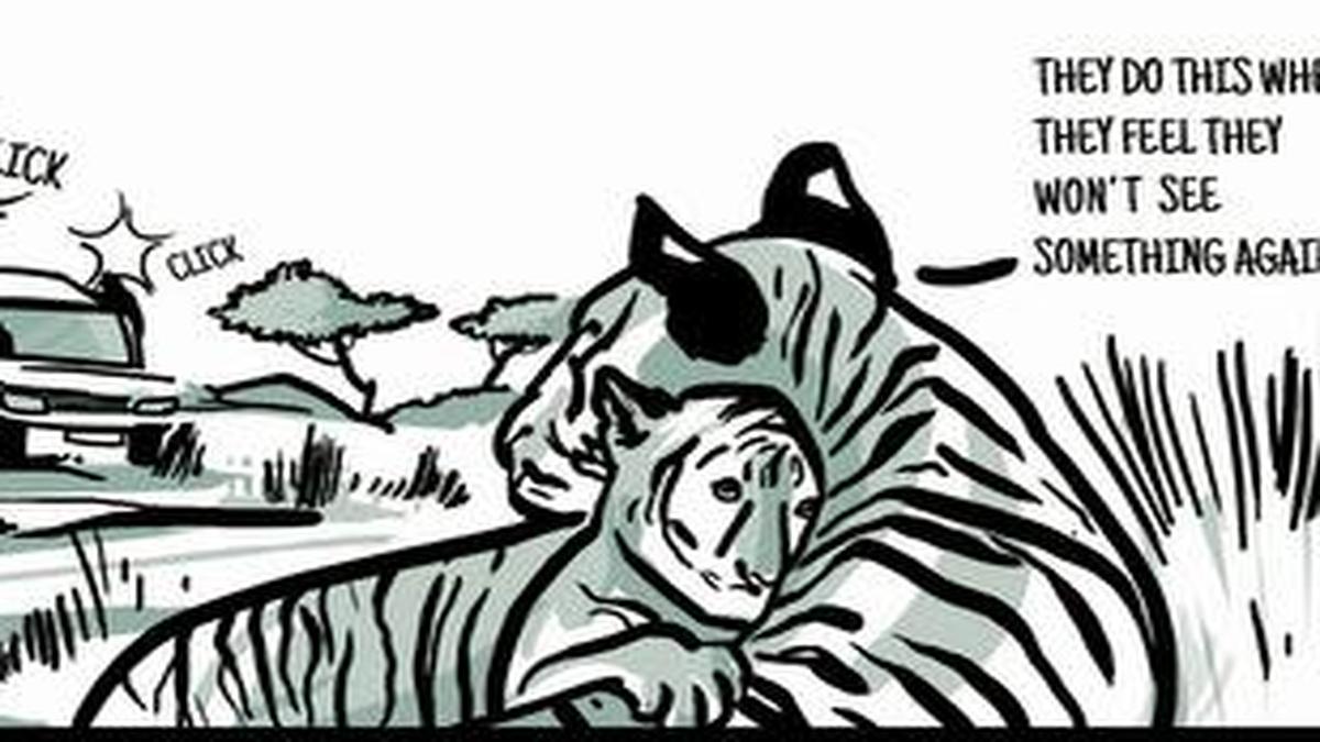 Ecotism by Ashvini Menon - The Hindu