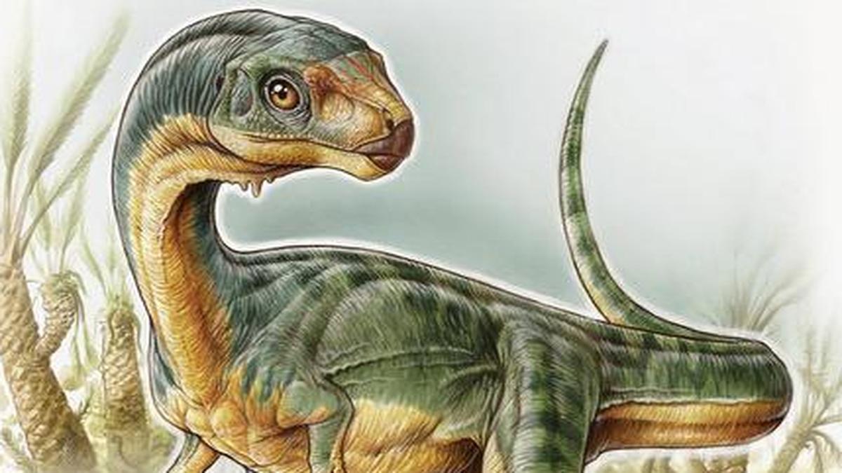‘Missing link’ in dinosaur evolution found - The Hindu