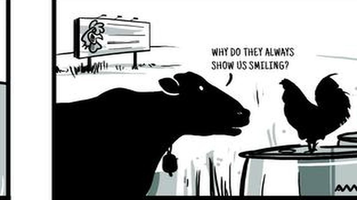 Ecotism by Ashvini Menon - The Hindu