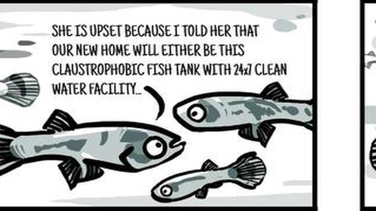 Ecotism by Ashvini Menon - The Hindu