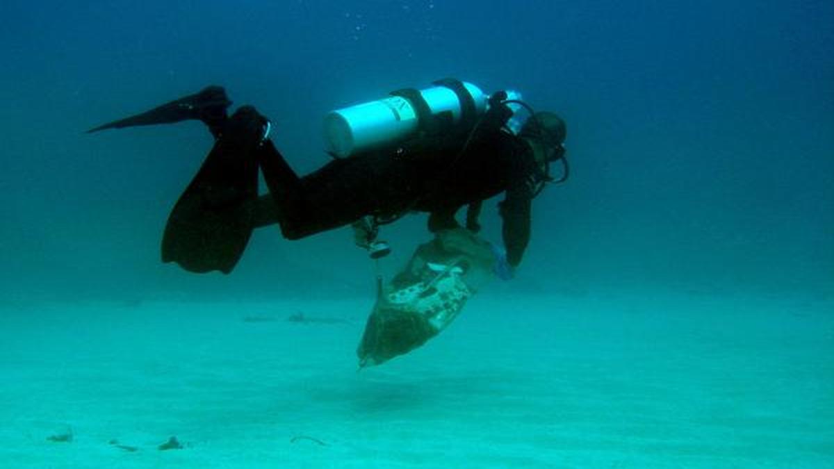 These Lebanese divers don’t look for treasure but trash - The Hindu