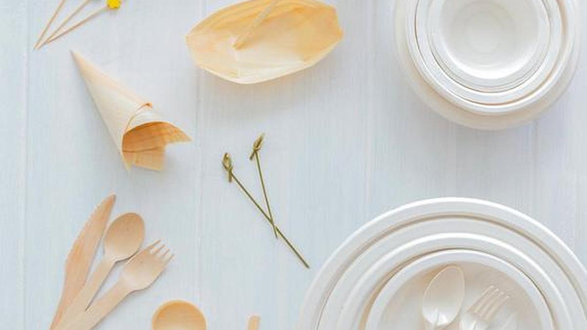 Throwing a party? Consider eco-friendly disposable tableware - The Hindu
