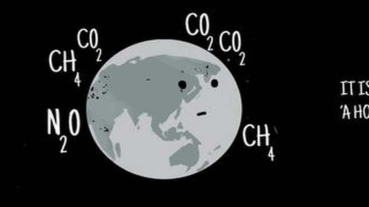Ecotism by Ashvini Menon - The Hindu