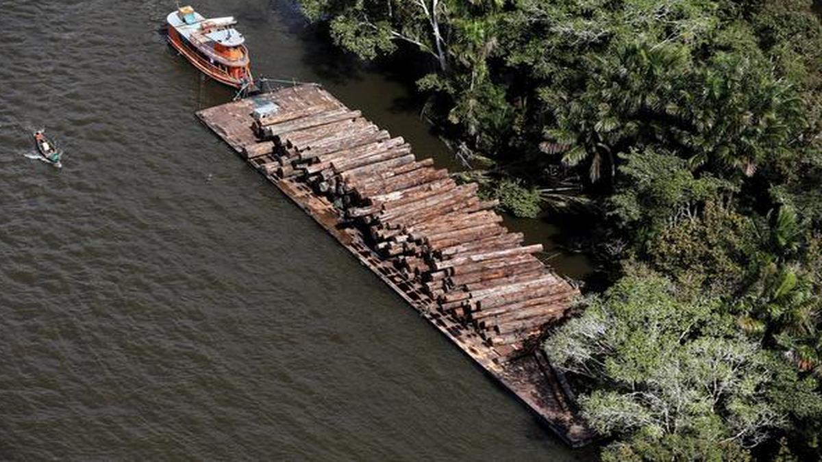 Land decay to displace tens of millions, survey warns - The Hindu