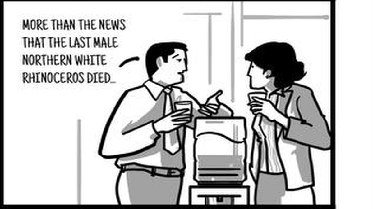 Ecotism by Ashvini Menon - The Hindu