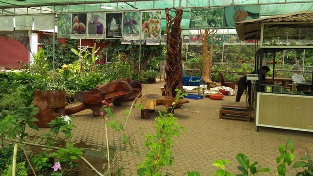 Take a walk in this park - The Hindu