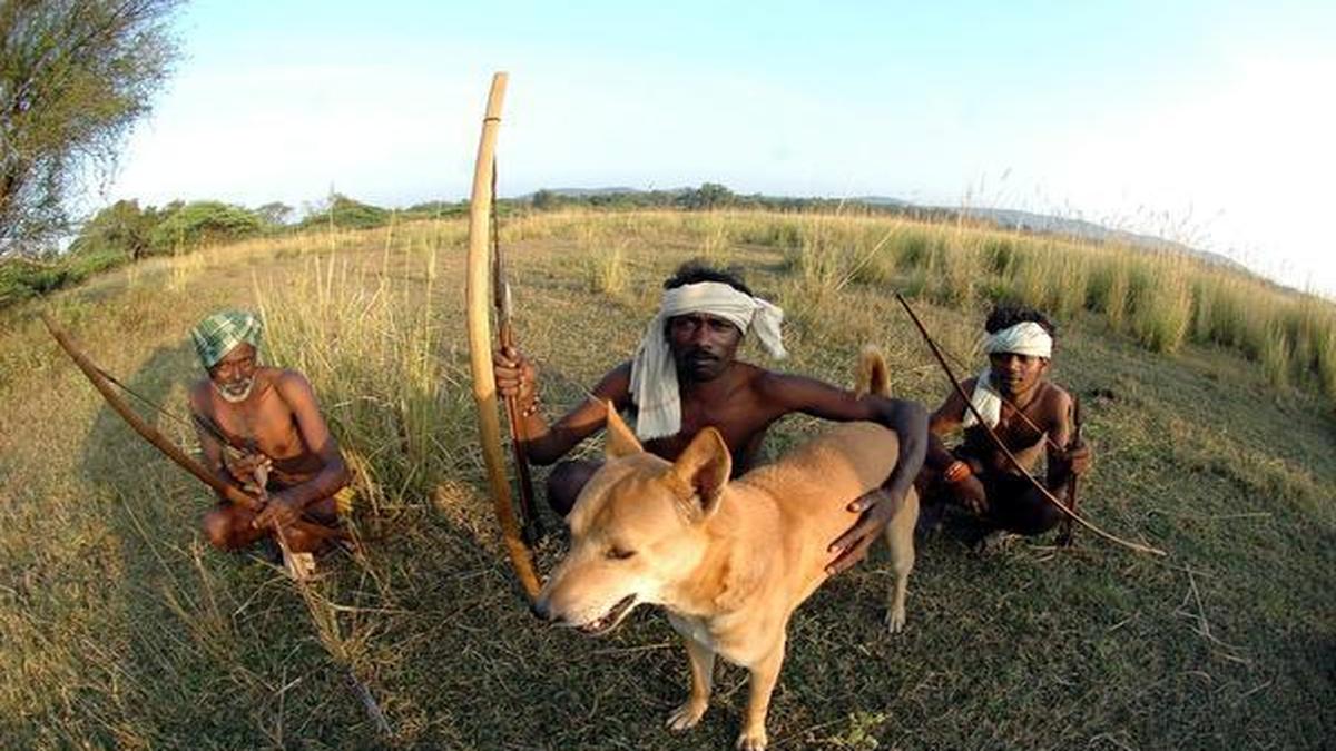 Before we blame forest-dwellers for ‘poaching’ during the pandemic, we ...