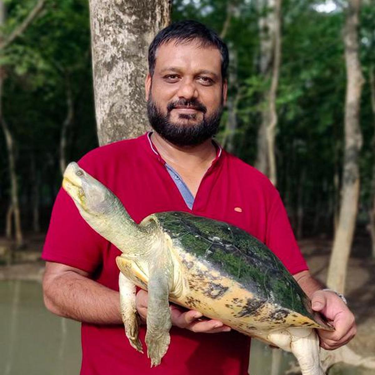 World Record Softshell Turtle