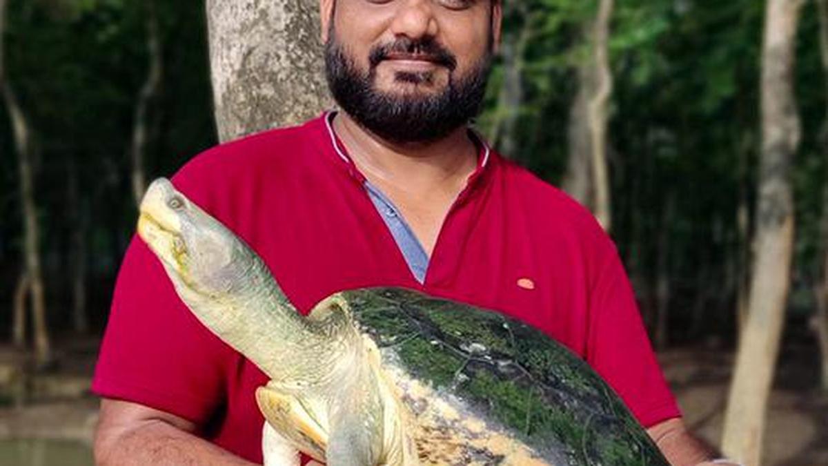 Indian biologist wins global award in turtle conservation - The Hindu