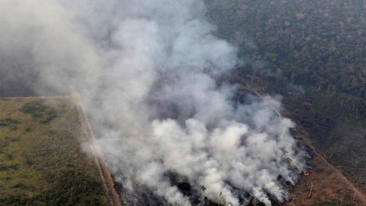 Why is part of the Amazon burning? - The Hindu