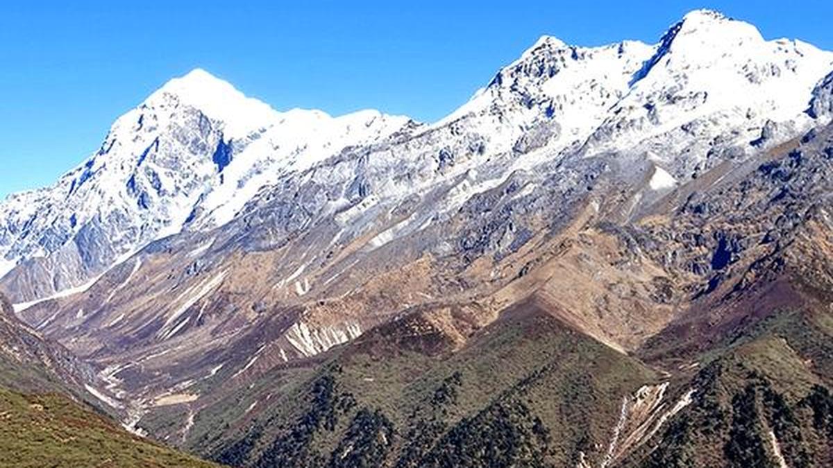 Sikkim's highest forest zone could get denser - The Hindu