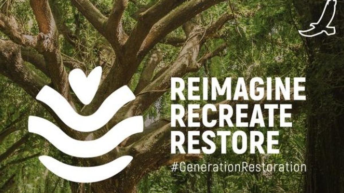 Making peace with nature - The Hindu