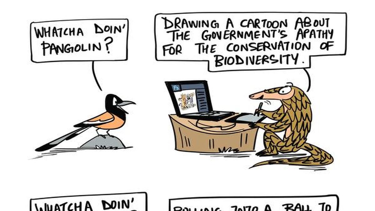 Green Humour by Rohan Chakravarty - The Hindu