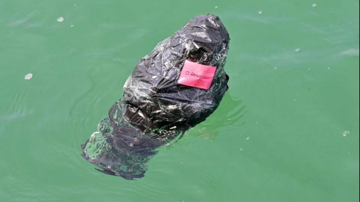 Indonesia's trash tracking satellites can help tackle marine pollution ...