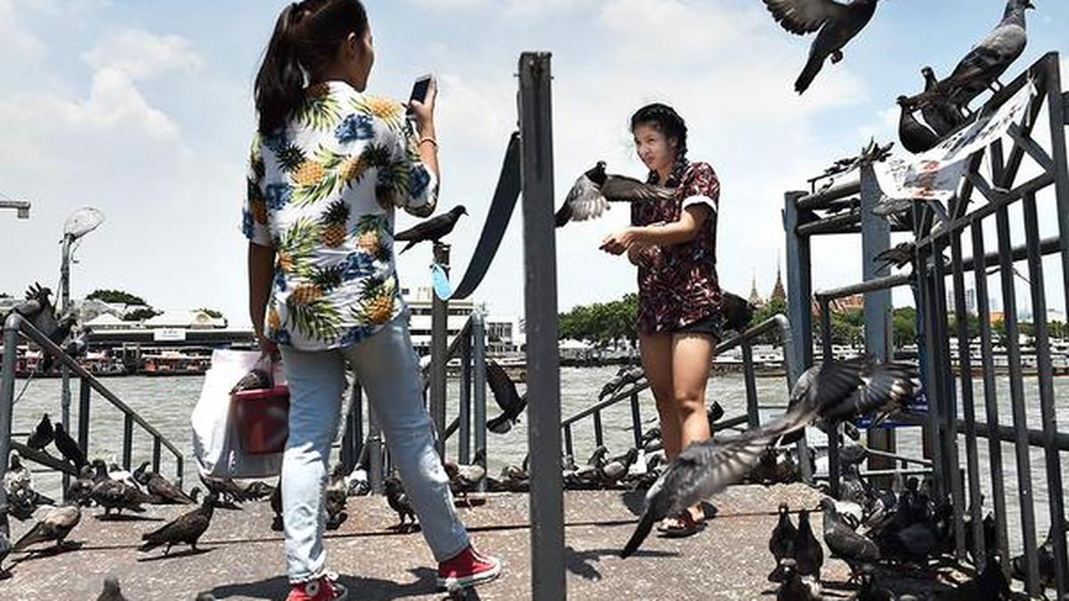 Humans form only a minuscule part of life on earth - The Hindu