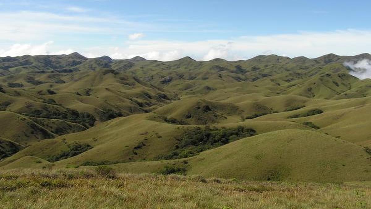Restoring the Nilgiris habitat, one acre at a time - The Hindu