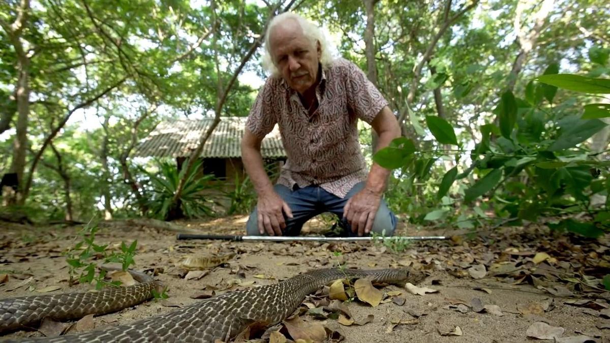 In conversation with Romulus Whitaker, Madras Crocodile Bank founder ...