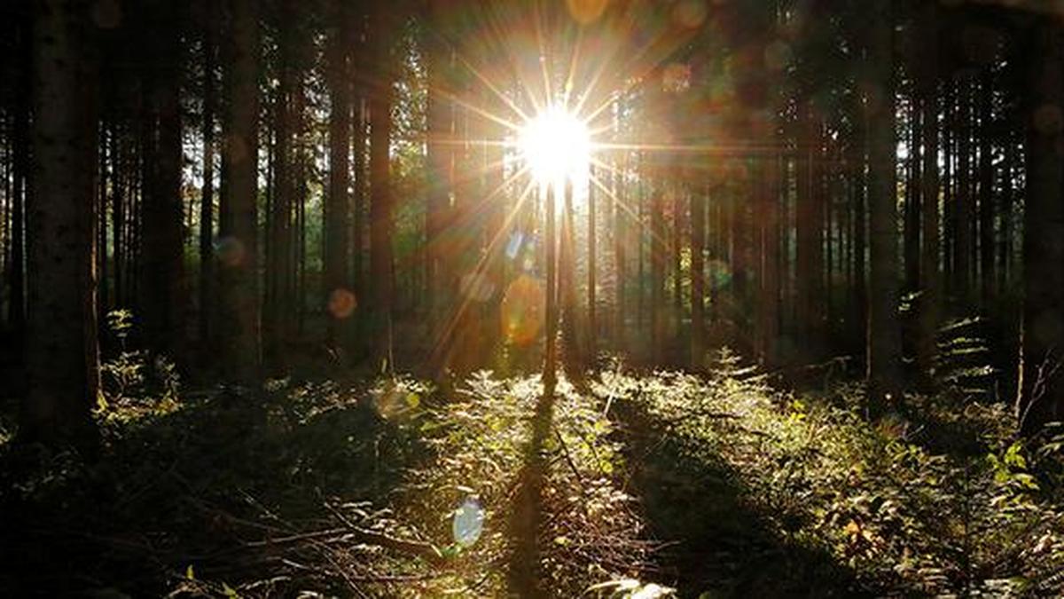 ‘Sun in a box’ system to store renewable energy - The Hindu