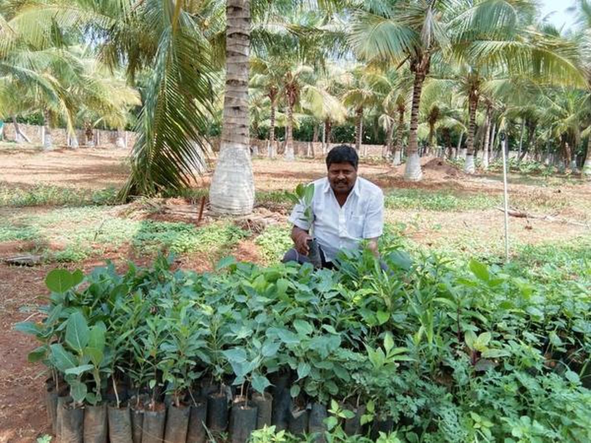 Environmentalist M Yoganathan opens a nursery where he will grow and ...