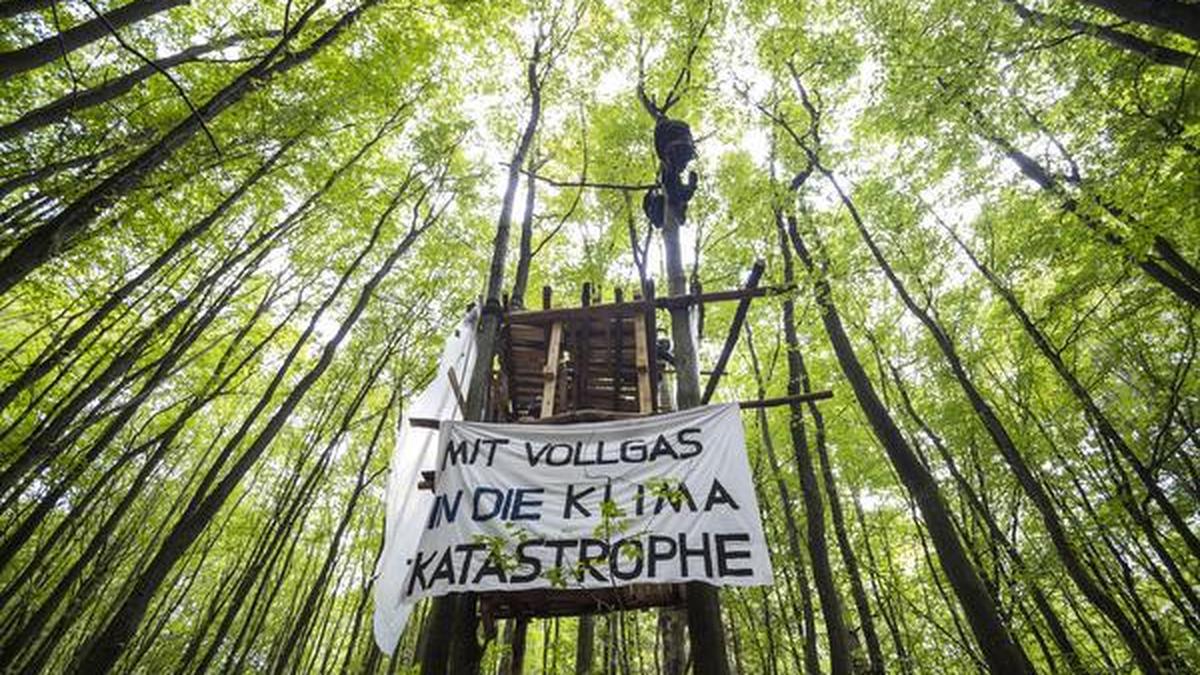 More than 80% of Europe's natural habitats in poor shape: report - The ...