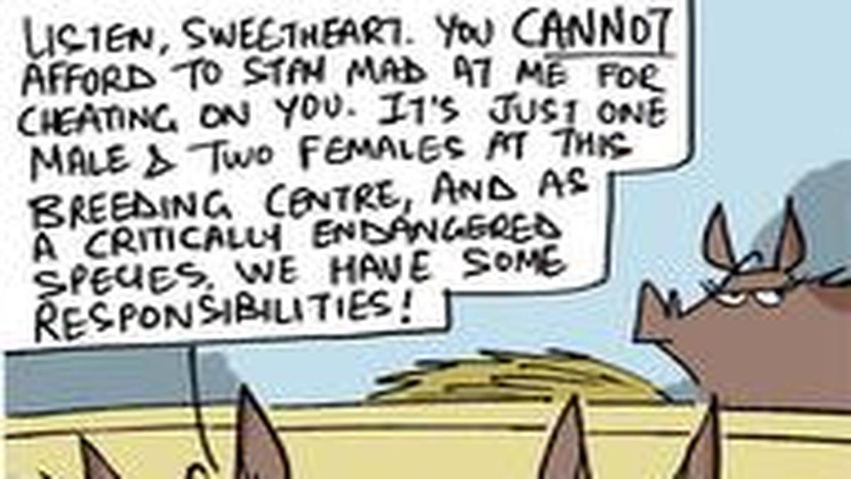 Green humour by Rohan Chakravarty - The Hindu