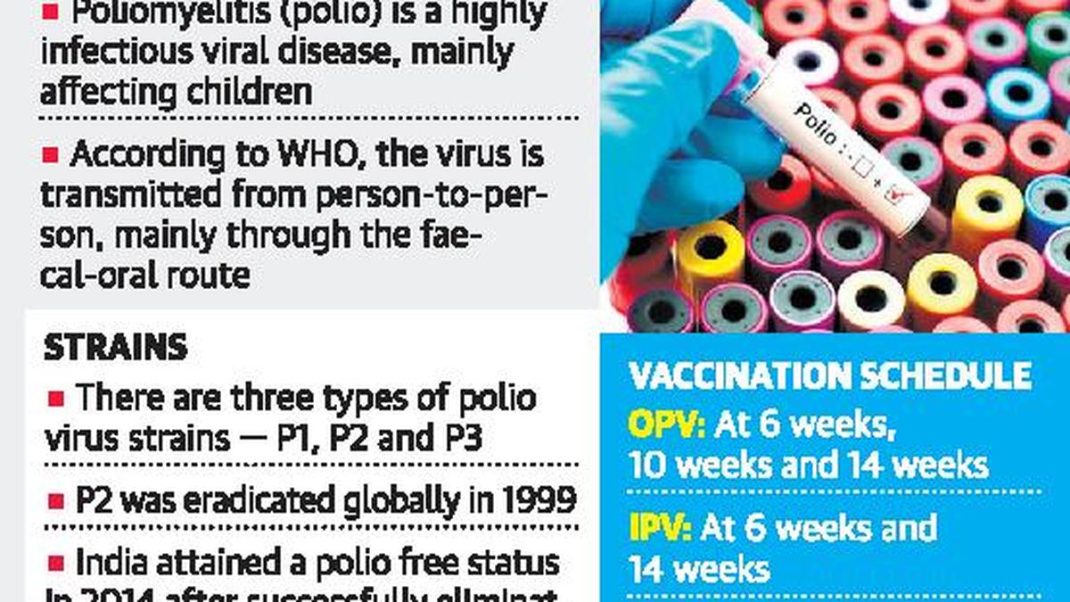 Centre initiates probe into type-2 polio virus contamination - The Hindu