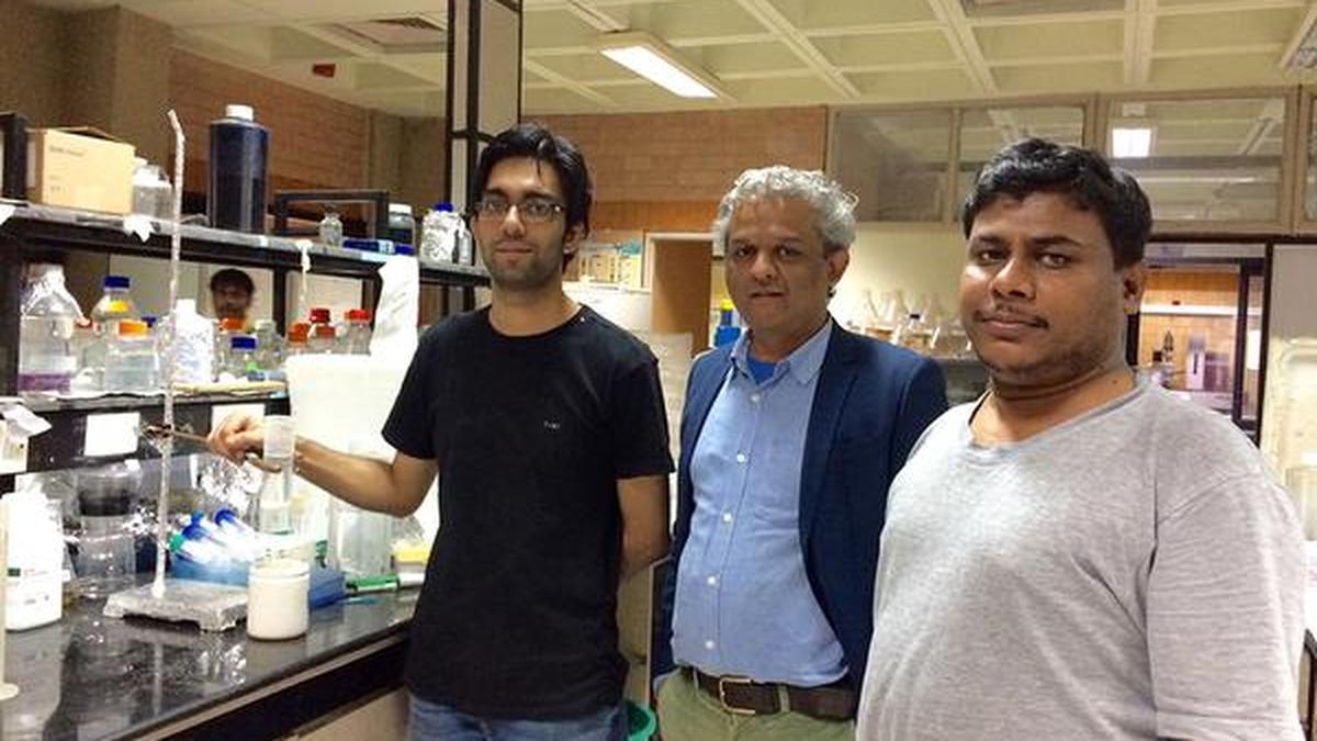 Researchers adopt novel approach to drug discovery - The Hindu