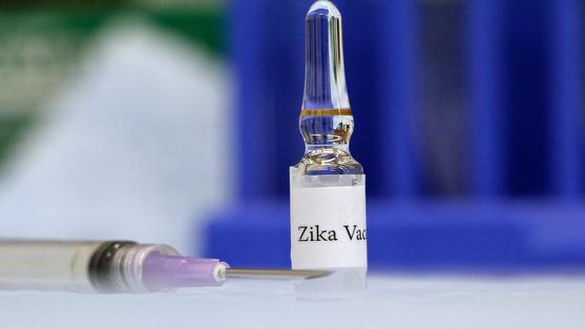 Vaccine hope for Zika - The Hindu