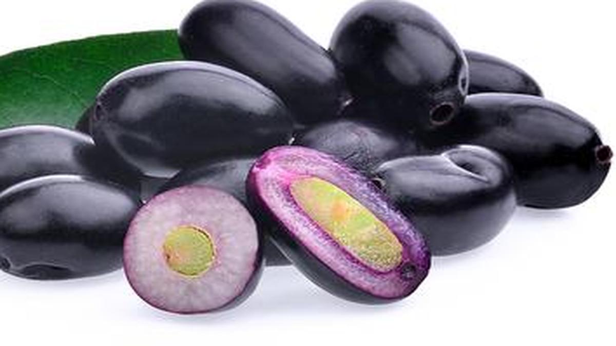 Jam-packed with goodness - The Hindu