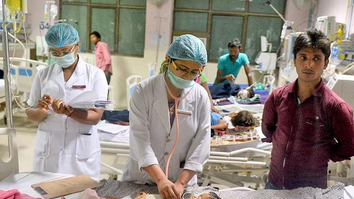 Japanese Encephalitis in Gorakhpur: A deadly disease explained - The Hindu