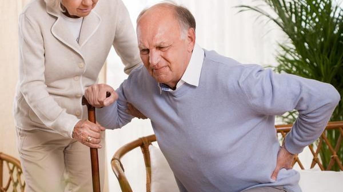 Cause of bone loss in elderly identified - The Hindu