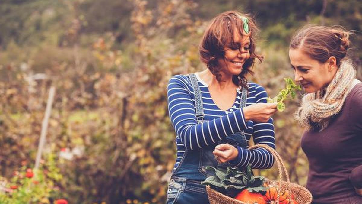 Four things you should know about smell - The Hindu