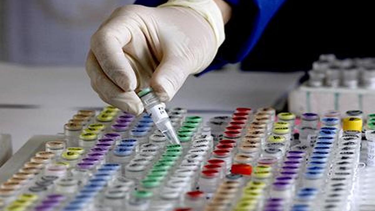 Hundreds of embryos damaged at U.S. clinic - The Hindu