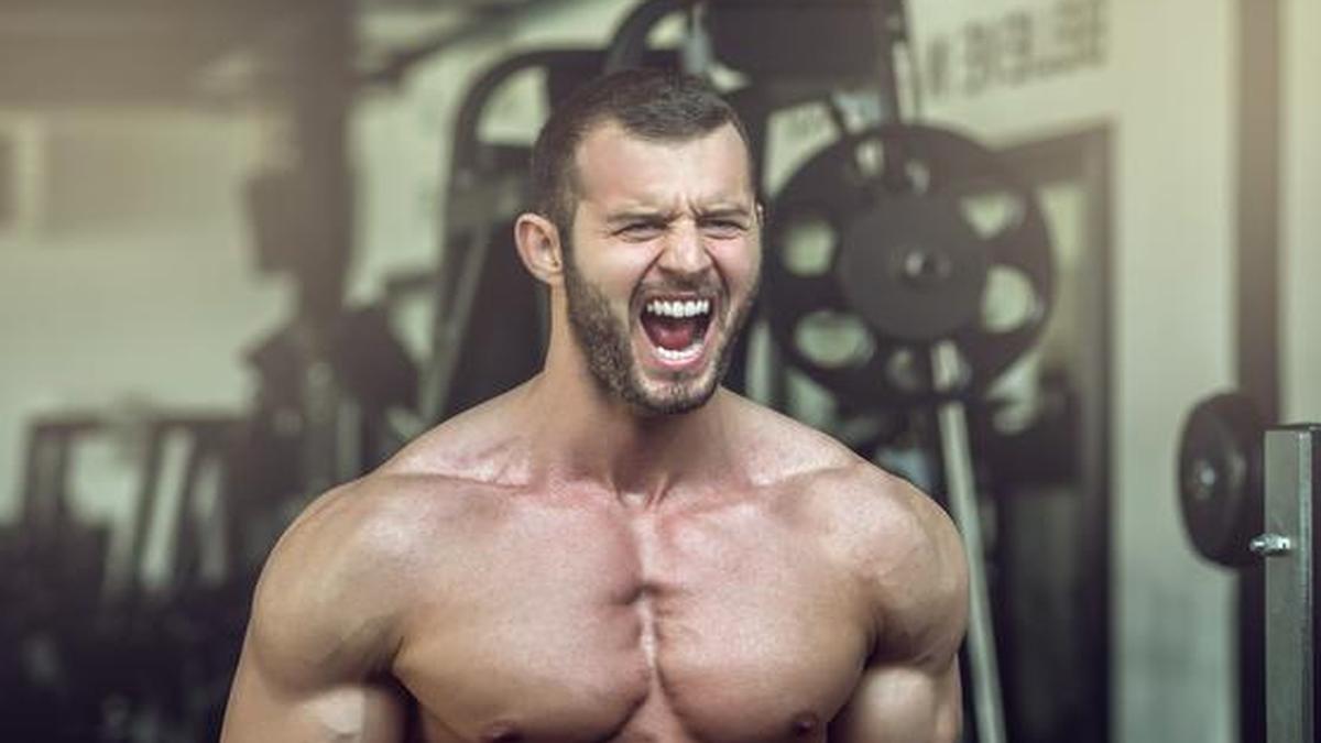 What is revenge body? - The Hindu