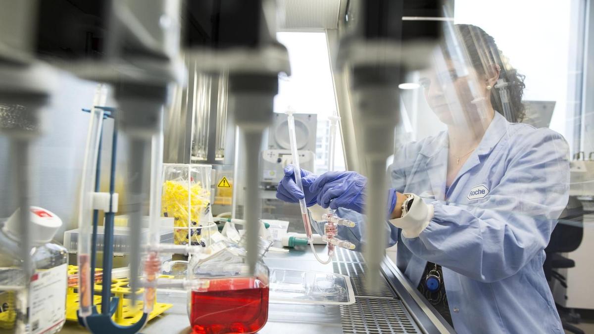Roche Diagnostics is India’s first private firm to get COVID-19 test ...