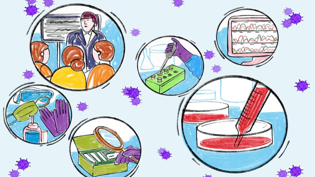 Coronavirus | COVID-19 may become endemic to humans, say CSIR ...