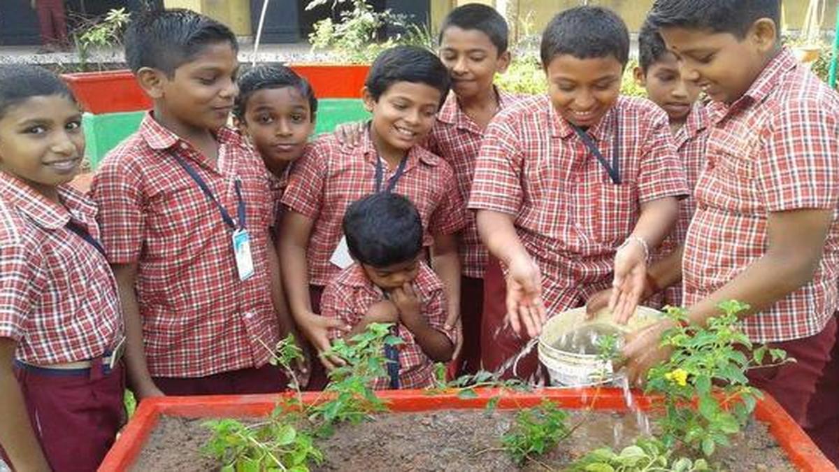 Horticultural therapy: Kerala Agricultural University sets an example ...