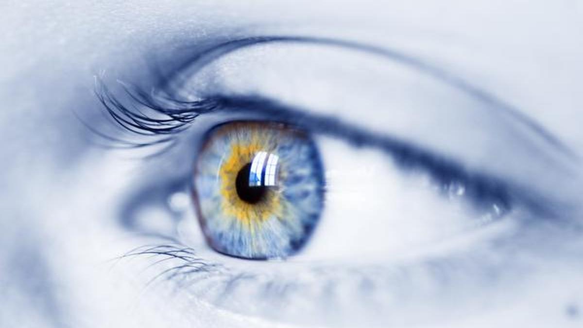 An eye out for Parkinson’s - The Hindu